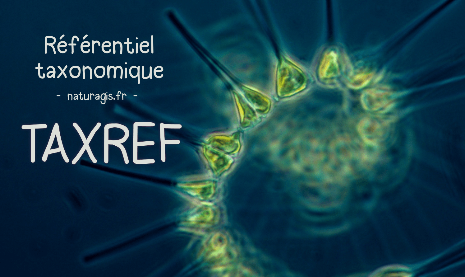 TAXREF : référentiel taxonomique national - NaturaGIS
